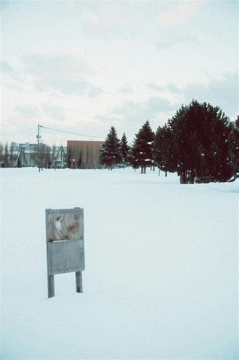 간판 감기 개간된 경로 겨울 경치 경치가 좋은 계절 고요한 광야 국가 나무 낮 냉담한 눈 눈 내리는 눈이 내리는 도시의 들판 러스틱 몹시