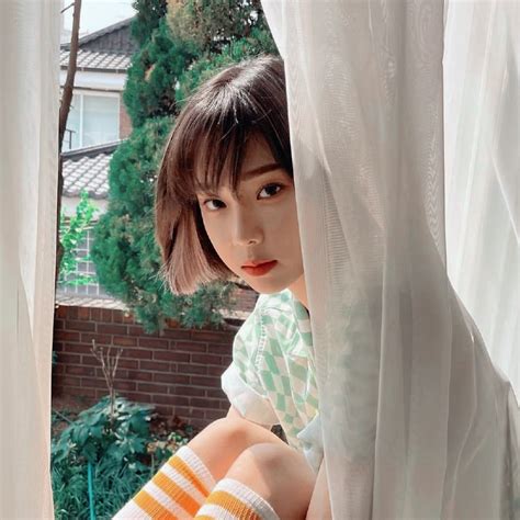 金冬甜 笨蛋 小狗汪汪 堆糖美图壁纸兴趣社区