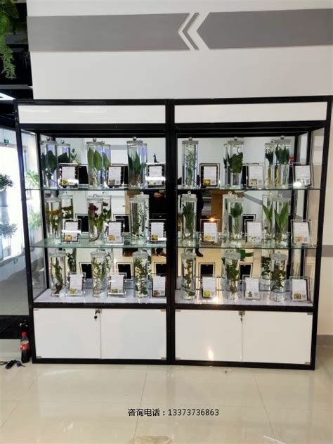 中药浸制标本教学标本展示标本 河南正谦教学设备有限公司官方网站