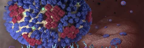 Scientists Create Accurate Predictor Of The Next Years Flu Virus Ars