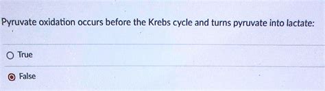 Solved Pyruvate Oxidation Occurs Before The Krebs Cycle And Turns Pyruvate Into Lactate True