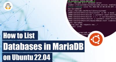 How To List A Databases In MariaDB On Ubuntu 22 04 Linux Genie