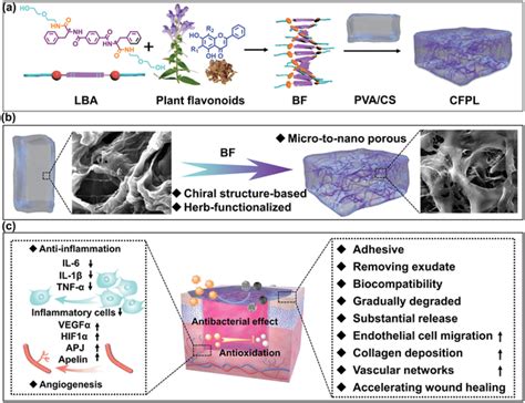 A Schematic Illustration Of The Preparation Procedures Of Download Scientific Diagram