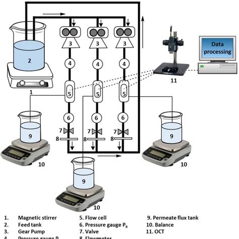 Schematics Describing The Lab Scale Setup And The Various Instruments Download Scientific