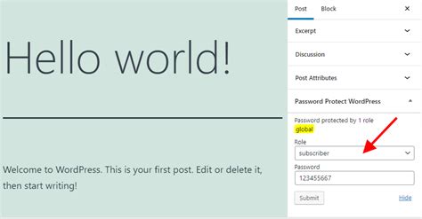 Password Protect Wordpress Ppwp Lite Password Protect Wordpress Pro