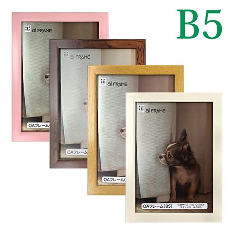 【楽天市場】イワタ Ai Frame Oaフレーム B5 受発注商品 額縁 壁掛け 置き型 ピンク ブラウン ナチュラル ホワイト：万丈～額縁・アルバム・雑貨の老舗