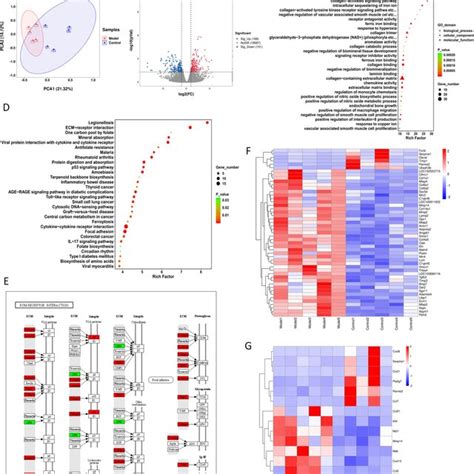 Transcriptomics Data Analysis A Pca Analysis Plot The Horizontal And Download Scientific