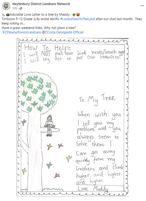 Letter To A Tree TAP Blog