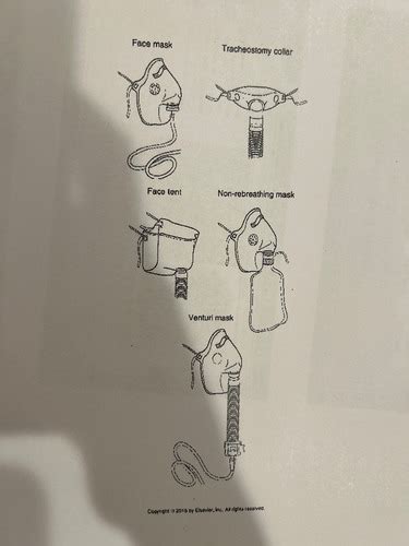 Oxygenation Key Terms And Definitions In Medicine Flashcards Quizlet