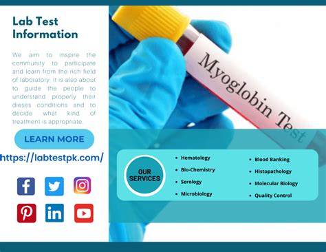 Myoglobin Blood Test Purpose Result Lab Test Information