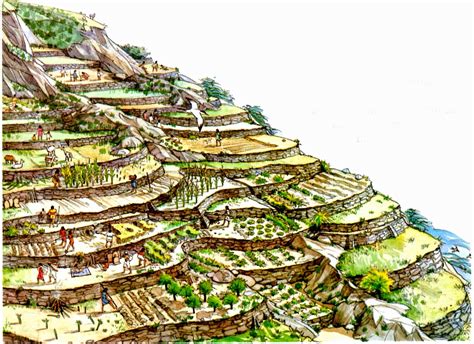 Patapata Andenes Em Espanhol Terraços Agrícolas Usados Pelos Povos