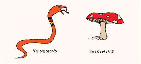 Literary Hub Yes But Can You Really Explain The Difference Between