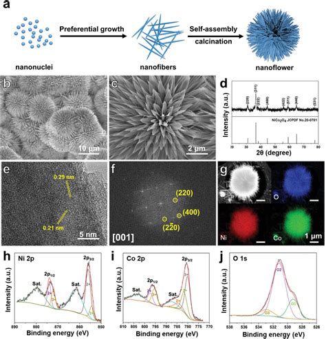 Synthesis And Characterization Of Nico2o4 Nanozyme A Illustration Of Download Scientific