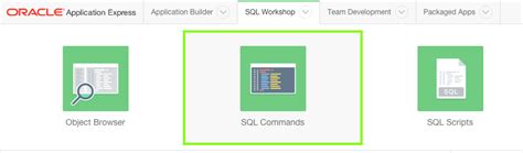 Apex Basic Demo Projects Hands On Lab V205