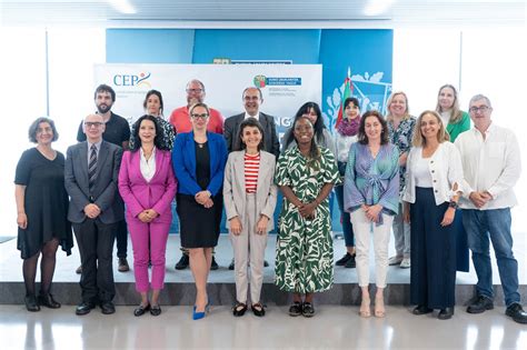 Recap Cep Expert Roup On Gender Based Violence In Probation Cep Probation