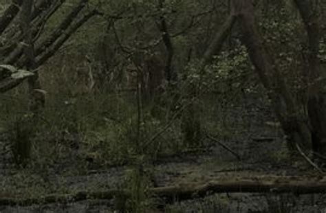 Ticci Toby Dopple Ai