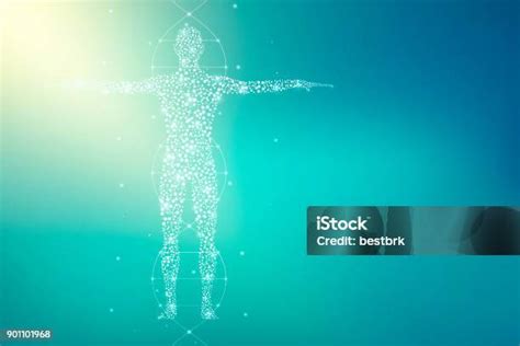분자 Dna와 추상 인간의 몸입니다 약 과학 및 기술 개념입니다 일러스트 레이 션 시냅스에 대한 스톡 벡터 아트 및 기타 이미지 시냅스 0명 Dna Istock
