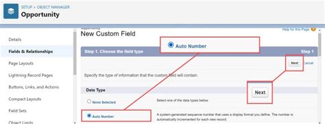 How To Create Auto Number Field Type In Salesforce