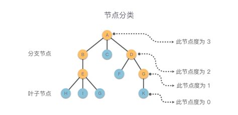 算法数据结构基础——树（二叉树）有序树 Csdn博客