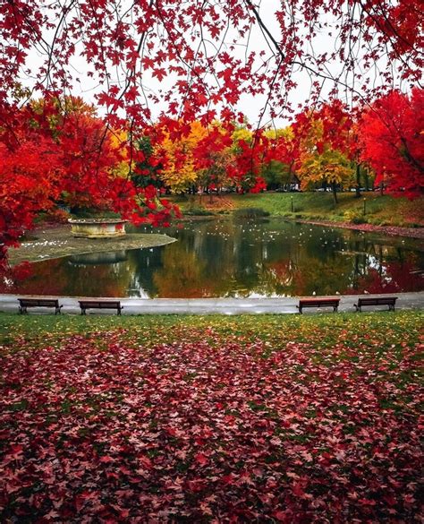 10 Fun Fall Activities To Do In Quebec Trylon Montreal