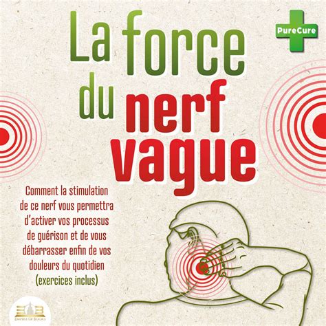 La Force Du Nerf Vague Comment La Stimulation De Ce Nerf Vous