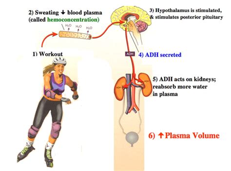 Adh Adh Japaneseclass Jp
