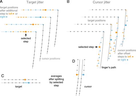 schematic representation of the stimulus and analysis target and