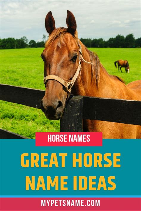 Unique And Inspiring Horse Names