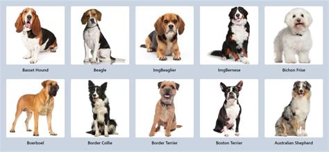 Pasupathi S On Linkedin Fullstackdevelopment Reactjs Tailwindcss