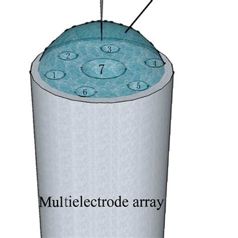 Shows The Schematic Diagram Of The Multielectrode Array Used In This Download Scientific