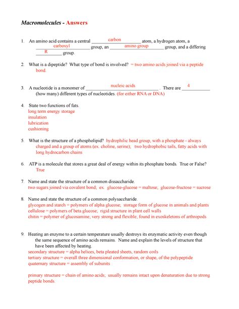 Macromolecules Practice Answers Macromolecules Answers An Amino Acid Contains A Central