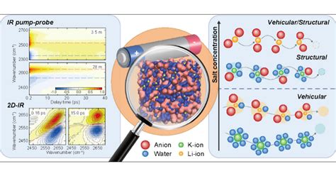 Ion Networks In Water Based Li Ion Battery Electrolytes Accounts Of Chemical Research