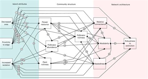 Hypothesized Path Structure For The Piecewise Sem Model Showing The