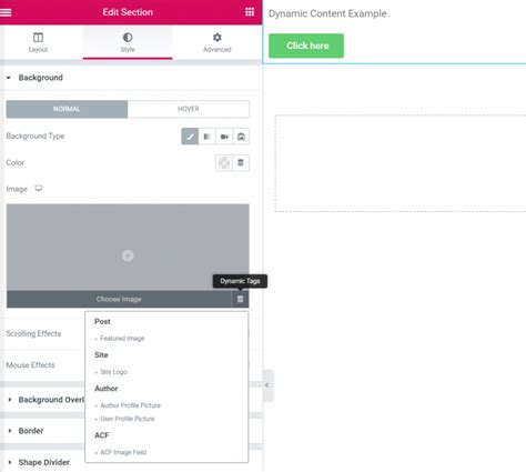 what is dynamic content in elementor pro