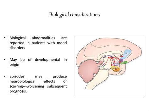 Neurobiology And Functional Brain Circuits In Mood Disorders Pptx