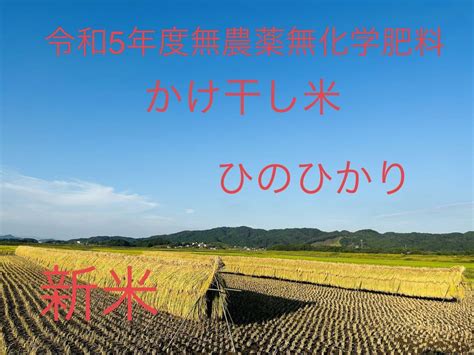 令和5年度産 無農薬 無化学肥料 かけ干しヒノヒカリ 玄米20kg メルカリ