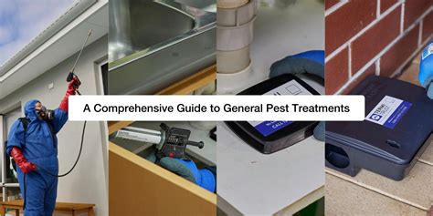 A Comprehensive Guide To General Pest Treatments Termi Home And Commercial