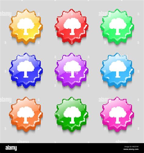 Tree Forest Icon Sign Symbol On Nine Wavy Colourful Buttons Vector Illustration Stock Vector