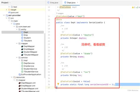 Mybatisx 自动生成代码工具的使用与注意， 简单介绍 Lombok 的安装与使用 Data 注解 Csdn博客