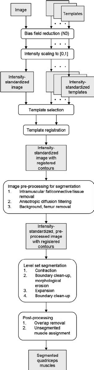 Diagram Of The Segmentation Pipeline Download Scientific Diagram