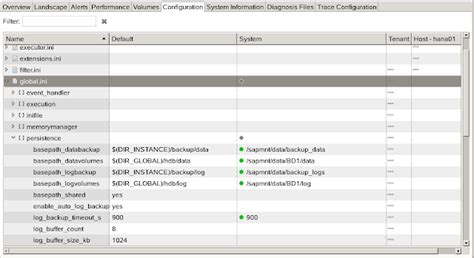 Tivoli Data Protection Tdp Sap Hana Backup And Restore Process Steps Storage And Backup Tutorials