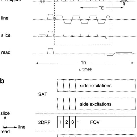 a basic single slice sequence for gradient echo line scan imaging