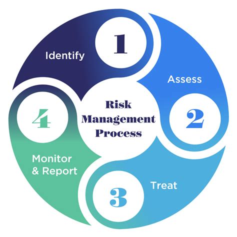 4 Step Risk Management Process — Migso Pcubed