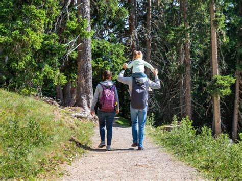Best Campgrounds With Hiking Trails In Massachusetts Maco