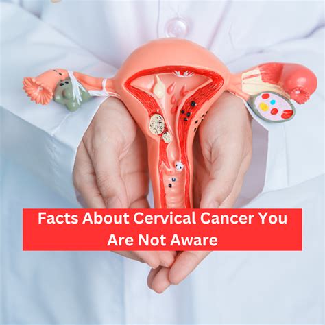 High Vaginal Swab Test 6 Reasons Women Need It Medbury Medical Services