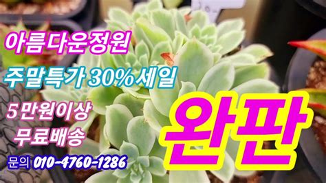 아름다운정원3탄 주말특가 전품목 30할인 5만원이상 무료배송 전국택배가능 득탬의기회 놓치면 후회합니다 ~~ Youtube