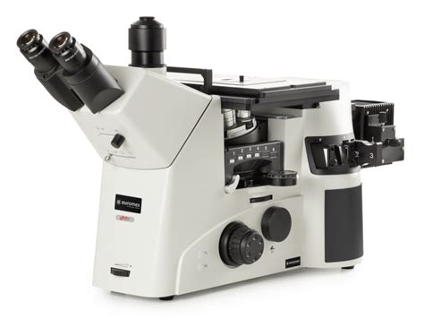 Delphi X Inverso Materials Science Euromex