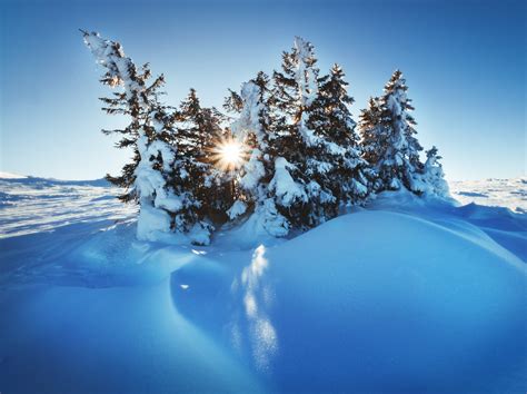 Canon Представяме ти и кадъра който ще краси профила ни следващите