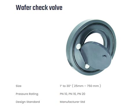 Cs Ss Ci Wafer Check Valve Valve Size 2 Inch At ₹ 1000 Piece In Pondicherry Id 2852099946212