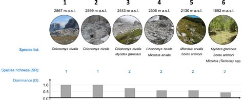 Species List Species Richness Sr And Dominance Index D Recorded Download Scientific